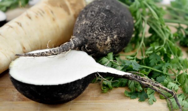 Schwarzer Rettich - Neuigkeiten und Tipps - Blog - Abokiste 24